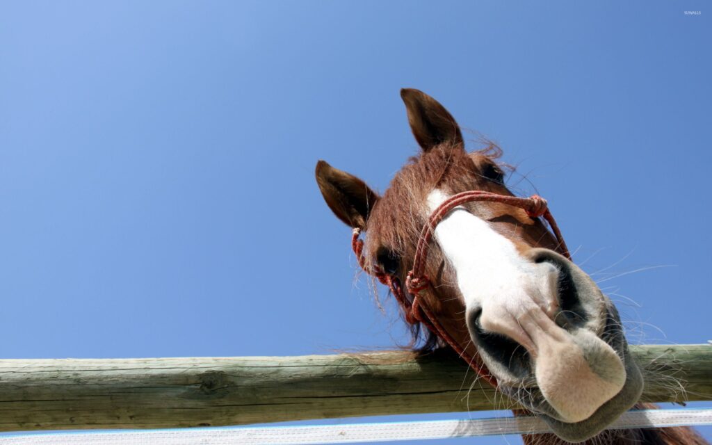 M nga Liter Vatten Per Dygn Ridguiden M nga Liter Vatten Per Dygn Ridguiden
